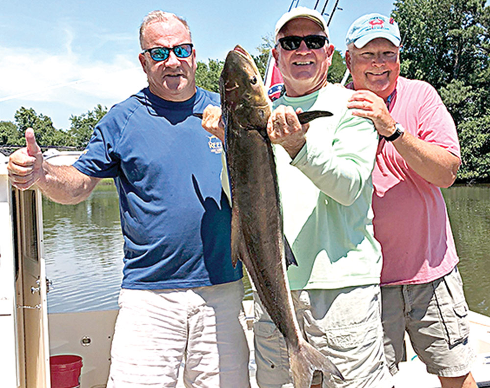 Cobia celebration - Rappahannock Record