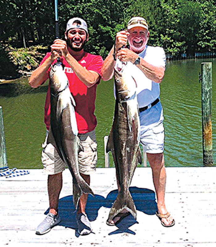 Cobia catch - Rappahannock Record