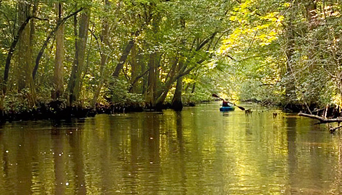 Friends of Dragon Run posts fall paddle schedule - Rappahannock Record